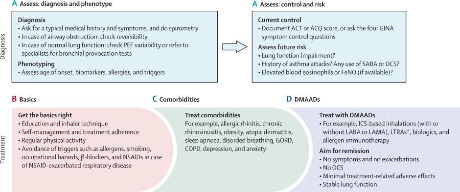Jorge Correa Borit en LinkedIn: A2BCD: a concise guide for asthma ... Jorge Correa Borit en LinkedIn: A2BCD: a concise guide for asthma ...