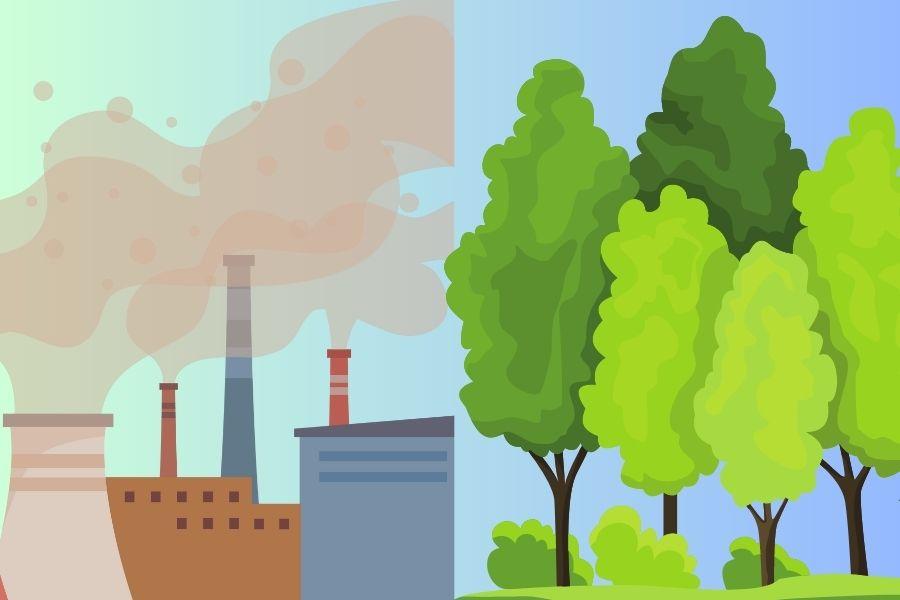 OWL ESG, Inc. on LinkedIn: The Case for Ignoring Scope 3 Emissions ... OWL ESG, Inc. on LinkedIn: The Case for Ignoring Scope 3 Emissions ...