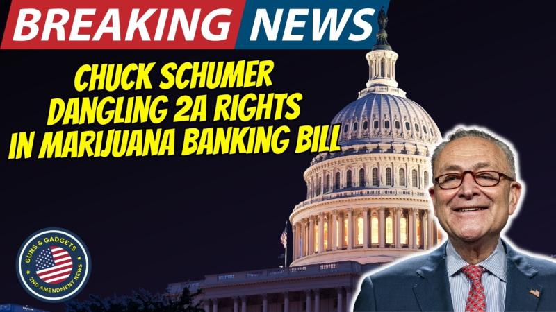 Jared Yanis on LinkedIn: BREAKING NEWS: US Senate Dangling 2A Rights In ... Jared Yanis on LinkedIn: BREAKING NEWS: US Senate Dangling 2A Rights In ...