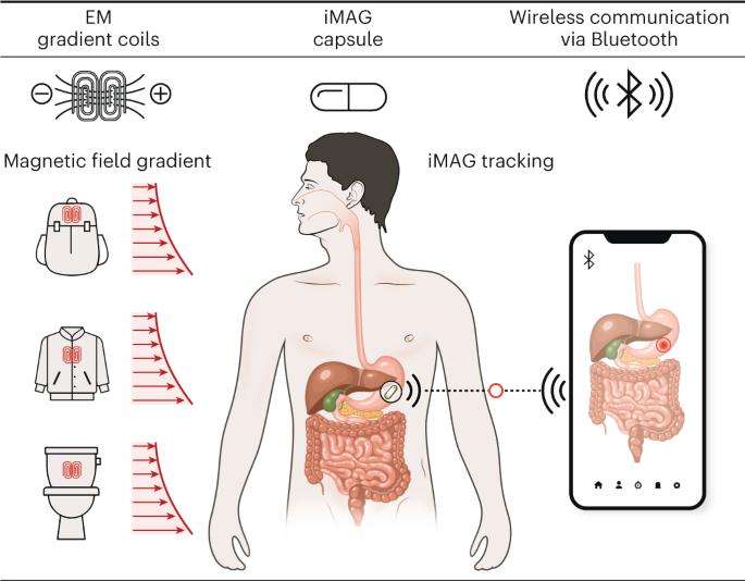 Saransh Sharma on LinkedIn: Location-aware ingestible microdevices for ... Saransh Sharma on LinkedIn: Location-aware ingestible microdevices for ...