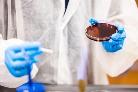 Chapman University School of Pharmacy on LinkedIn: CUSP Researchers and ... Chapman University School of Pharmacy on LinkedIn: CUSP Researchers and ...