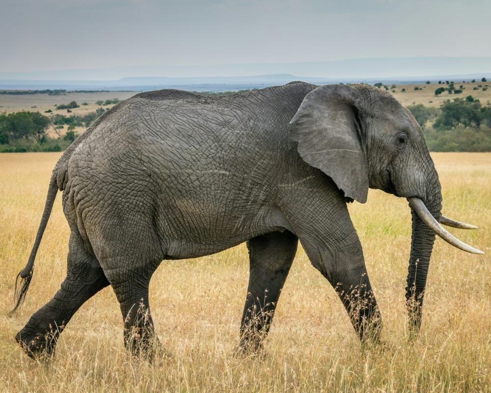 Shiv Iyer on LinkedIn: PostgreSQL Performance Troubleshooting ... Shiv Iyer on LinkedIn: PostgreSQL Performance Troubleshooting ...