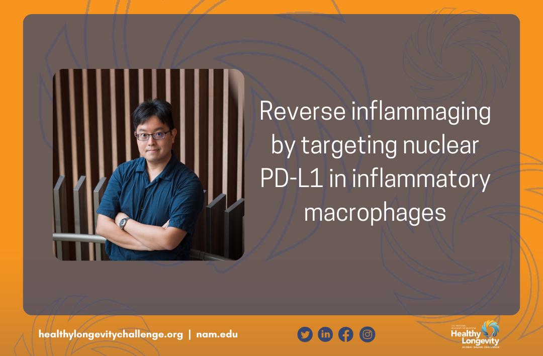 Rio Sugimura, M.D.,Ph.D. on LinkedIn: Reverse inflammaging by targeting ... Rio Sugimura, M.D.,Ph.D. on LinkedIn: Reverse inflammaging by targeting ...
