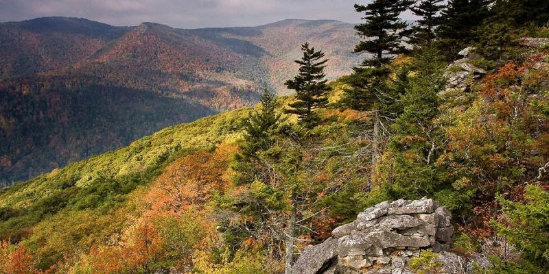 Erik Kvam on LinkedIn: Success in restoring mined lands in Appalachia Erik Kvam on LinkedIn: Success in restoring mined lands in Appalachia