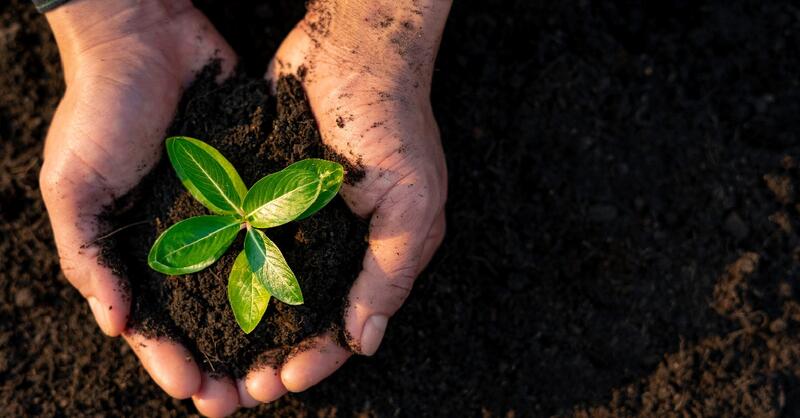Ankit Saxena on LinkedIn: Performance Management: Cultivating Great ... Ankit Saxena on LinkedIn: Performance Management: Cultivating Great ...