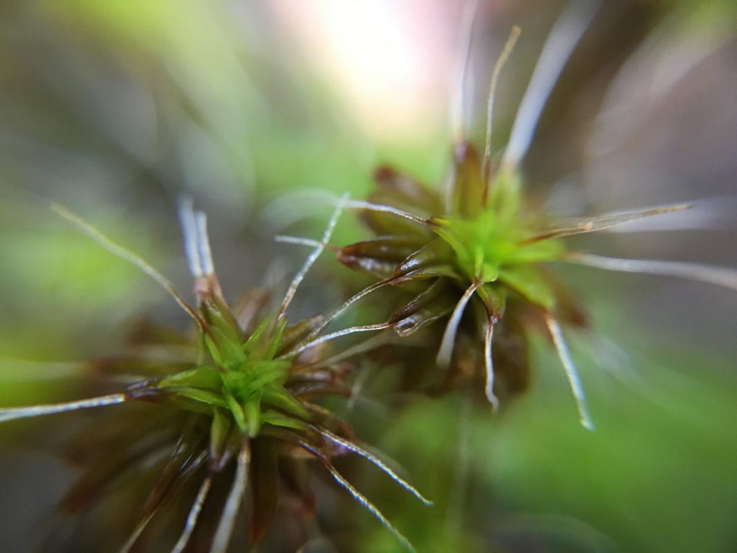 Juan Carlos Wandemberg Boschetti Ph.D. on LinkedIn: Drying without ... Juan Carlos Wandemberg Boschetti Ph.D. on LinkedIn: Drying without ...