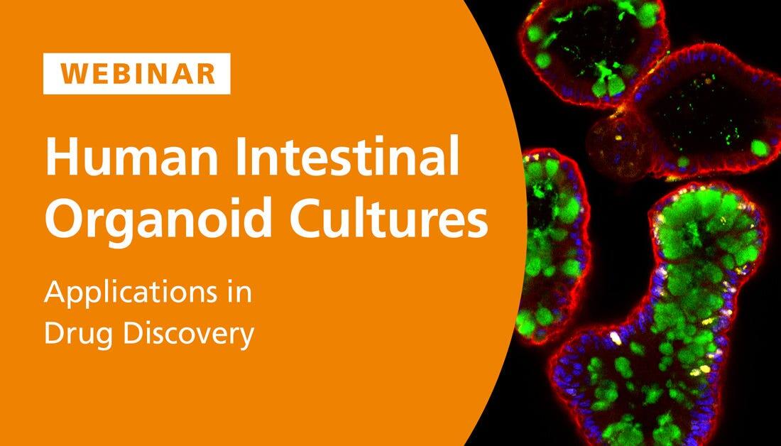 Victoria Conlin, PhD on LinkedIn: Human Intestinal Organoid Cultures in ... Victoria Conlin, PhD on LinkedIn: Human Intestinal Organoid Cultures in ...