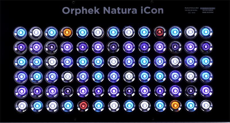 Orphek Reef Aquarium LED Lighting on LinkedIn: Revolutionary Natura ... Orphek Reef Aquarium LED Lighting on LinkedIn: Revolutionary Natura ...