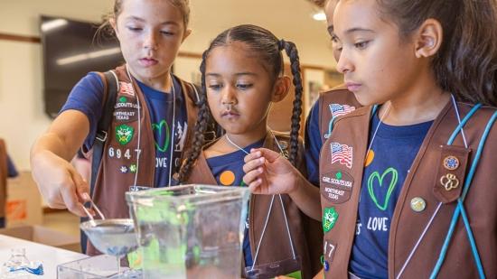 SPE: Inspiring Plastics Professionals on LinkedIn: SPE Girl Scout ... SPE: Inspiring Plastics Professionals on LinkedIn: SPE Girl Scout ...