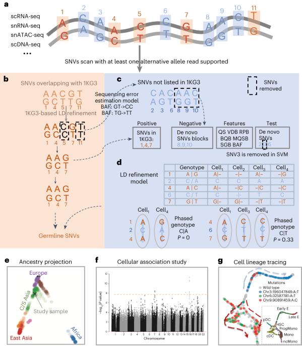 Salah Adlat, Ph.D. on LinkedIn: Single-nucleotide variant calling in ... Salah Adlat, Ph.D. on LinkedIn: Single-nucleotide variant calling in ...