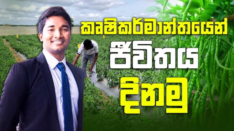 Raveesha Lokuge on LinkedIn: කෘෂිකර්මාන්තයෙන් ජීවිතය දිනමු ... Raveesha Lokuge on LinkedIn: කෘෂිකර්මාන්තයෙන් ජීවිතය දිනමු ...