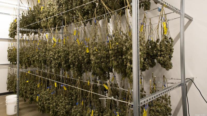 Proper Brands on LinkedIn: Big St. Louis-based cannabis firm to expand ... Proper Brands on LinkedIn: Big St. Louis-based cannabis firm to expand ...