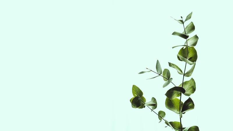 Caitlin Greenwood on LinkedIn: Sustainability Trends Caitlin Greenwood on LinkedIn: Sustainability Trends