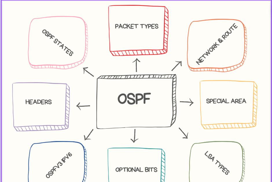 Khalid Gul on LinkedIn: OSPF Interview Questions & Answer Part-1 | OSPF ... Khalid Gul on LinkedIn: OSPF Interview Questions & Answer Part-1 | OSPF ...