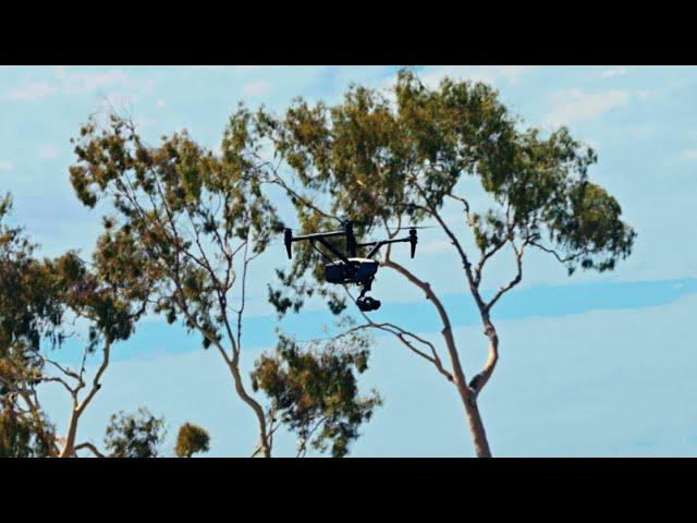 Kate Cartwright on LinkedIn: Behind the scenes with MrBeast | Samsung Kate Cartwright on LinkedIn: Behind the scenes with MrBeast | Samsung