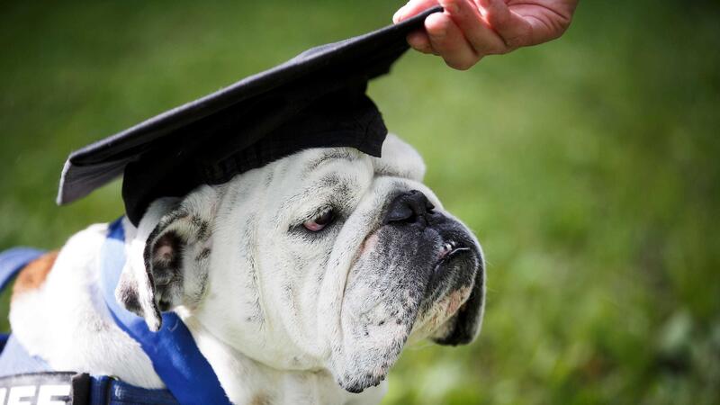 Craige Wrenn on LinkedIn: New nursing program from Drake offers ... Craige Wrenn on LinkedIn: New nursing program from Drake offers ...