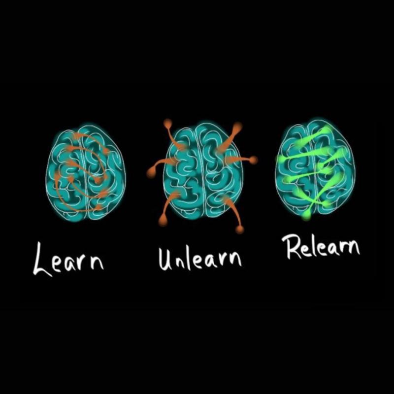 Tejal Khatri on LinkedIn: Rethinking and Unlearning — Ana Lorena Fabrega Tejal Khatri on LinkedIn: Rethinking and Unlearning — Ana Lorena Fabrega