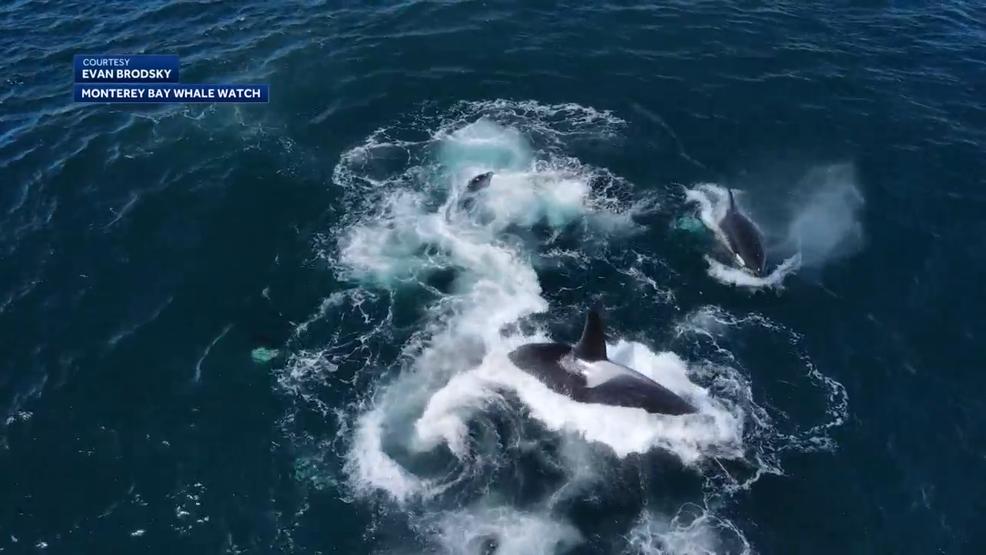 April Sjoboen Guimaraes on LinkedIn: Drone footage shows more than 30 ... April Sjoboen Guimaraes on LinkedIn: Drone footage shows more than 30 ...