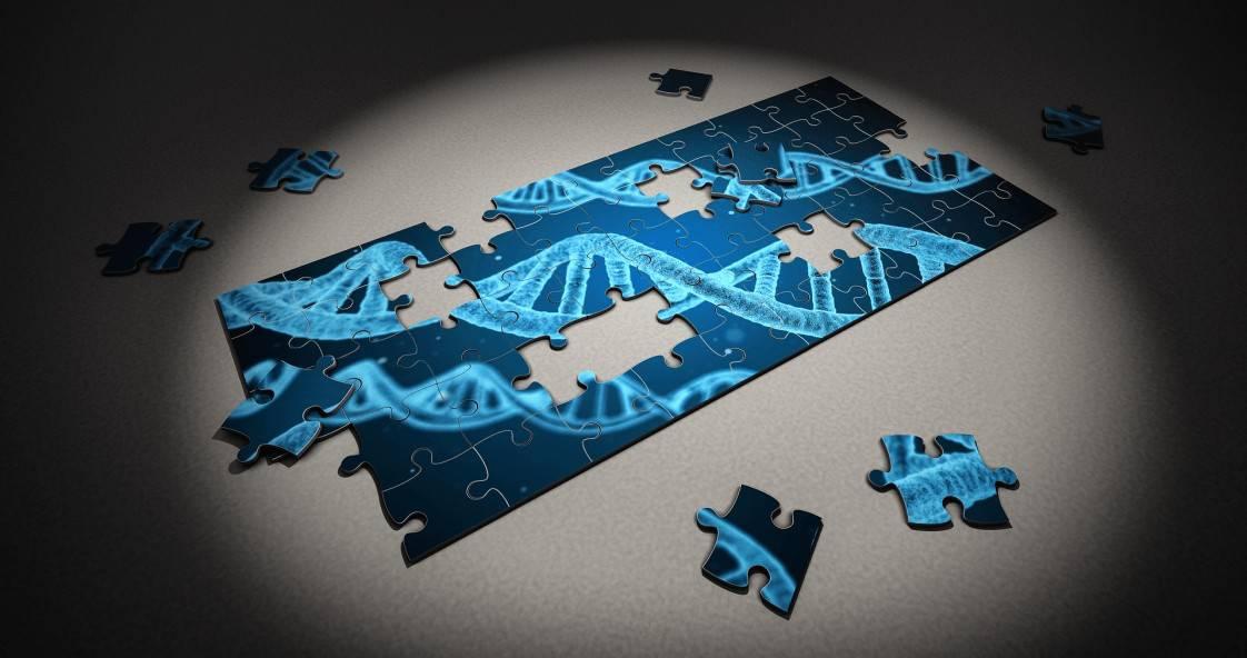 Cecep Sobur on LinkedIn: Mekanisme Replikasi DNA (Deoxyribonucleic Acid) Cecep Sobur on LinkedIn: Mekanisme Replikasi DNA (Deoxyribonucleic Acid)