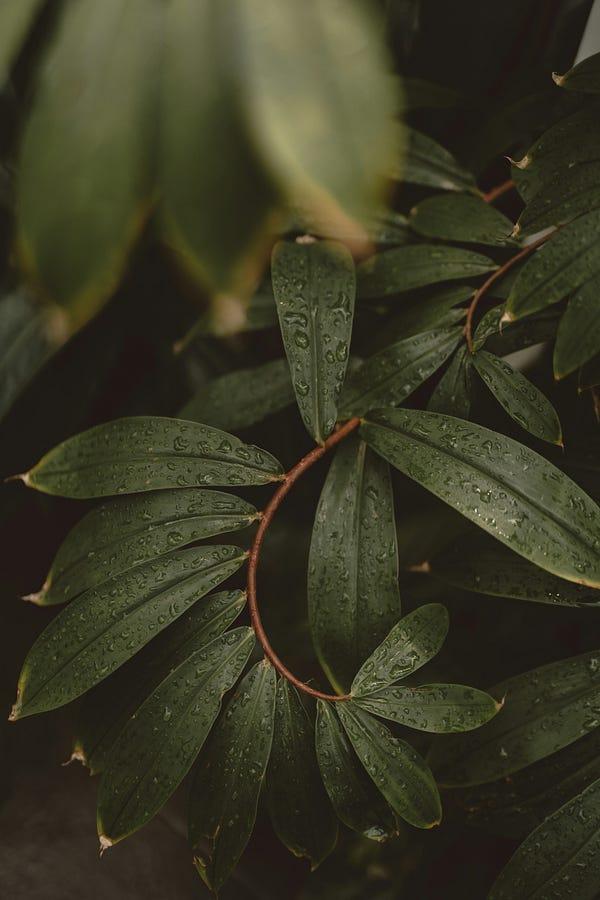 Ramsey Jiang on LinkedIn: How Regular Transactions Work And Why Avoid ... Ramsey Jiang on LinkedIn: How Regular Transactions Work And Why Avoid ...