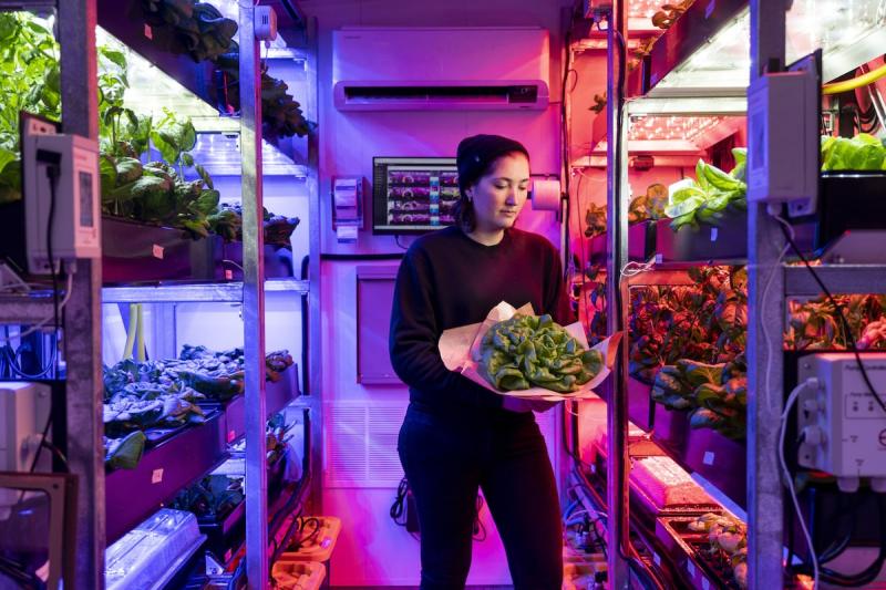 Steven Wilson on LinkedIn: Agtech pushes the boundaries of food ... Steven Wilson on LinkedIn: Agtech pushes the boundaries of food ...
