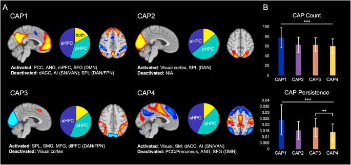 Delia Lenzi on LinkedIn: Spatiotemporal dynamics of hippocampal ... Delia Lenzi on LinkedIn: Spatiotemporal dynamics of hippocampal ...