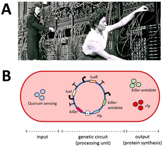 New paper: Evolutionary Algorithms in a Bacterial Consortium of ... New paper: Evolutionary Algorithms in a Bacterial Consortium of ...
