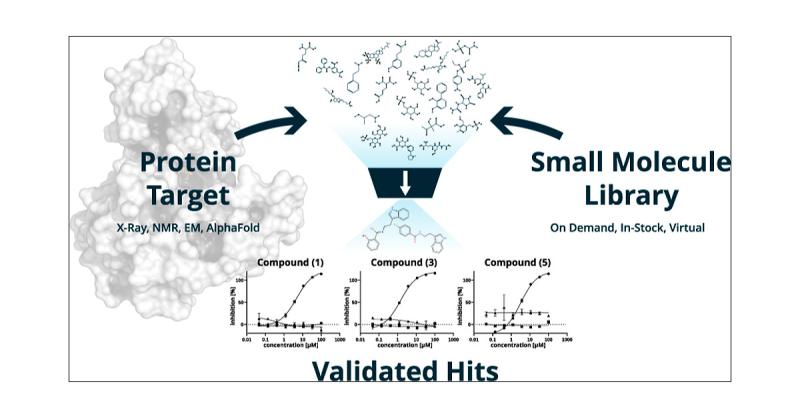 Dr. Pavan Kumar on LinkedIn: AI-Powered Virtual Screening of Large ... Dr. Pavan Kumar on LinkedIn: AI-Powered Virtual Screening of Large ...