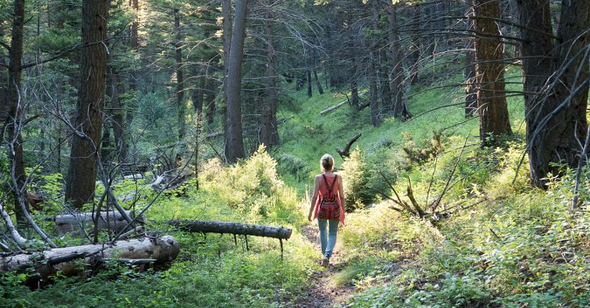 Anne Jablonski on LinkedIn: The Mindful Unplug: Movement, Rhythm, and ... Anne Jablonski on LinkedIn: The Mindful Unplug: Movement, Rhythm, and ...