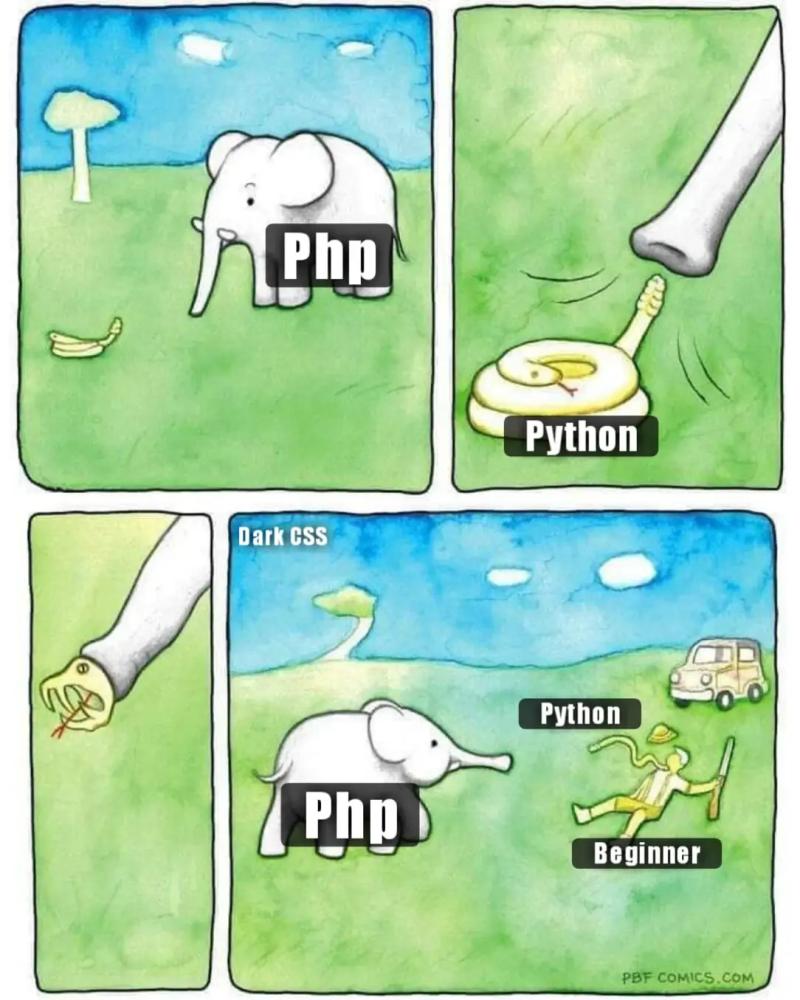 Prakalp Upadhyay on LinkedIn: Python programming language memes Prakalp Upadhyay on LinkedIn: Python programming language memes
