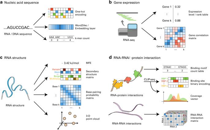 Vivek Das, PhD, M.Sc. on LinkedIn: Big data and deep learning for RNA ... Vivek Das, PhD, M.Sc. on LinkedIn: Big data and deep learning for RNA ...