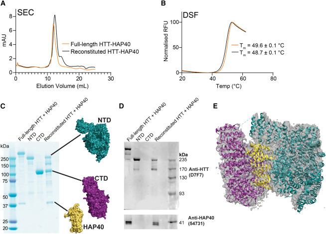 The Structural Genomics Consortium (SGC) on LinkedIn: Delineation of ... The Structural Genomics Consortium (SGC) on LinkedIn: Delineation of ...