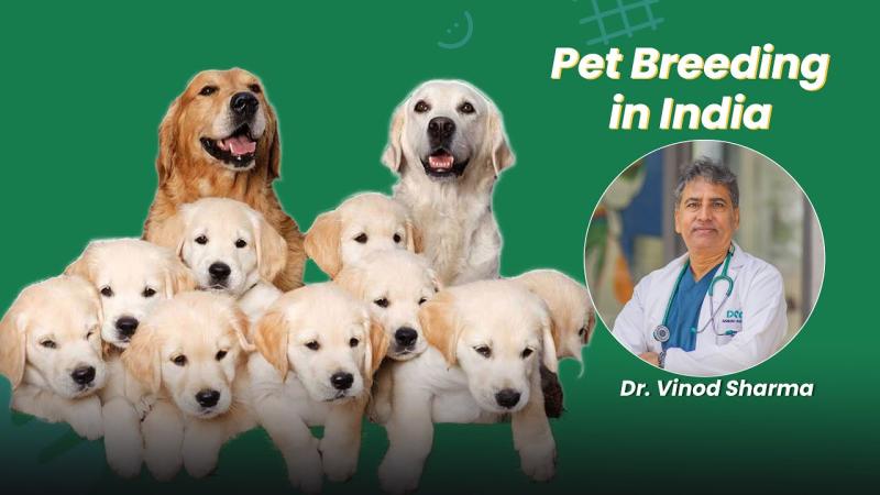 Dr.Vinod Sharma on LinkedIn: Pet Breeding in India : Dr. Vinod Sharma Dr.Vinod Sharma on LinkedIn: Pet Breeding in India : Dr. Vinod Sharma