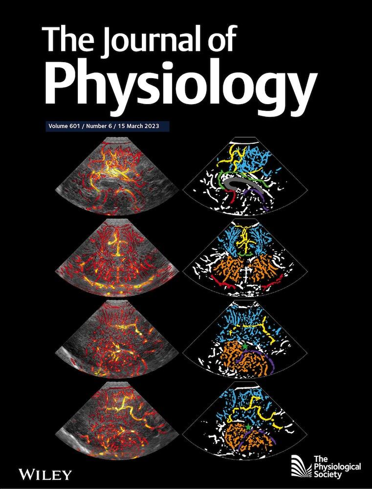 Orlando Laitano on LinkedIn: Whole genome transcriptomic reveals heat ... Orlando Laitano on LinkedIn: Whole genome transcriptomic reveals heat ...