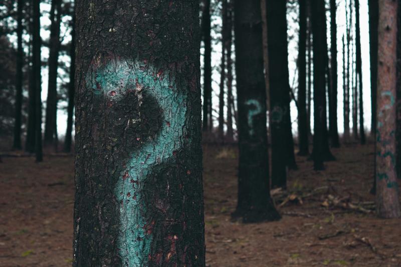 Gregory Beaver on LinkedIn: Understanding TypeScript Type Inference Gregory Beaver on LinkedIn: Understanding TypeScript Type Inference
