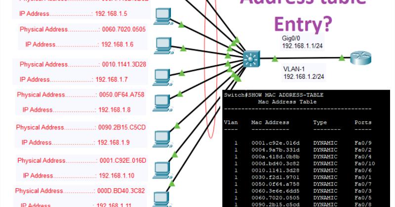 Edgar C Francis on LinkedIn: How to configure Static MAC Address table ... Edgar C Francis on LinkedIn: How to configure Static MAC Address table ...