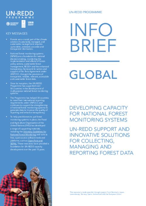Developing Capacity for National Forest Monitoring Systems UN-REDD ... Developing Capacity for National Forest Monitoring Systems UN-REDD ...