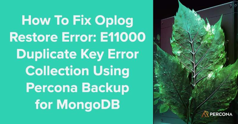 Mollie Bracken on LinkedIn: How To Fix Oplog Restore Error: E11000 ... Mollie Bracken on LinkedIn: How To Fix Oplog Restore Error: E11000 ...