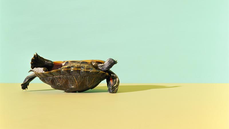 4 Reasons Good Employees Lose Their Motivation | Malak Benzenberg, MBA ... 4 Reasons Good Employees Lose Their Motivation | Malak Benzenberg, MBA ...