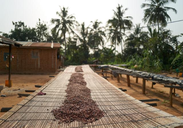 Erico Lopes on LinkedIn: Cocoa Sustainability Guide: Getting Started Erico Lopes on LinkedIn: Cocoa Sustainability Guide: Getting Started