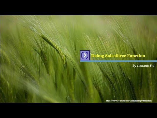 Santanu Pal on LinkedIn: Debug Salesforce Function Santanu Pal on LinkedIn: Debug Salesforce Function