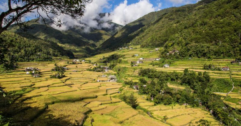 Chatham House Environment and Society on LinkedIn: A circular shift in ... Chatham House Environment and Society on LinkedIn: A circular shift in ...
