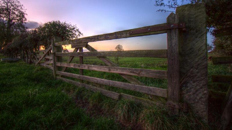 Tom Chatfield on LinkedIn: BBC Radio 4 - Farming Today Tom Chatfield on LinkedIn: BBC Radio 4 - Farming Today