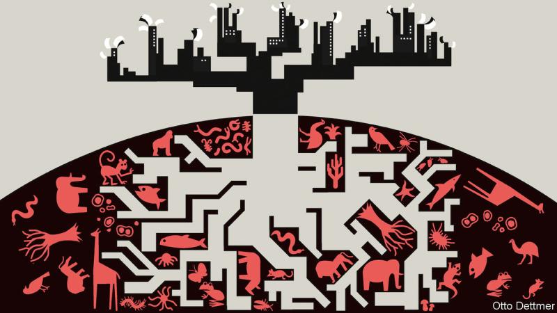 Robert Hii on LinkedIn: How should economists think about biodiversity? Robert Hii on LinkedIn: How should economists think about biodiversity?