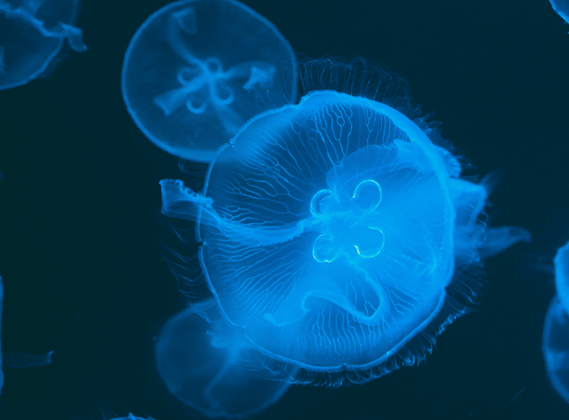Discover the Power of IoT Ecosystem: A Guide | Yury Shamrei posted on ... Discover the Power of IoT Ecosystem: A Guide | Yury Shamrei posted on ...