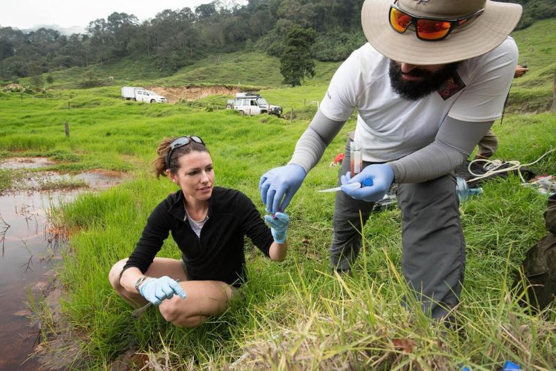 How fascinating...”The team found that these microbes—called… | Sara ... How fascinating...”The team found that these microbes—called… | Sara ...