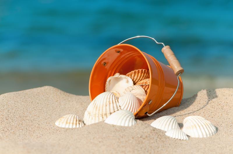 Caroline F. on LinkedIn: Coquillages, sable, galets, bois flotté... On ... Caroline F. on LinkedIn: Coquillages, sable, galets, bois flotté... On ...