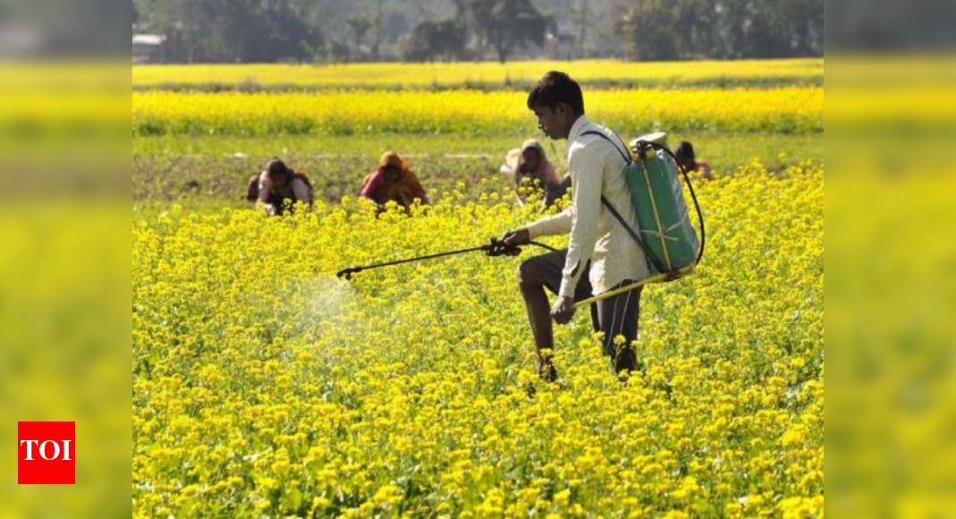Viraj Misal. on LinkedIn: Horticulture output to hit all-time high ... Viraj Misal. on LinkedIn: Horticulture output to hit all-time high ...