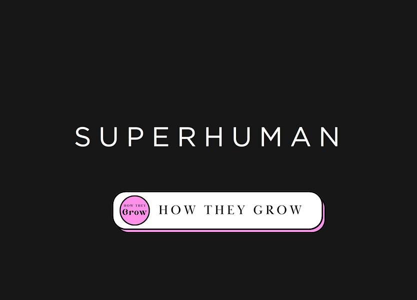 Jaryd Hermann on LinkedIn: How Superhuman Grows Jaryd Hermann on LinkedIn: How Superhuman Grows