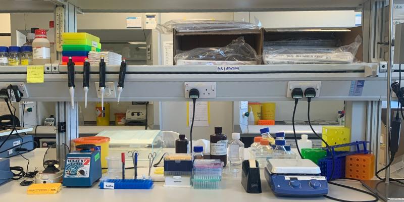 Yuen Jian Cheong on LinkedIn: A lab that sparks joy: my experience ... Yuen Jian Cheong on LinkedIn: A lab that sparks joy: my experience ...